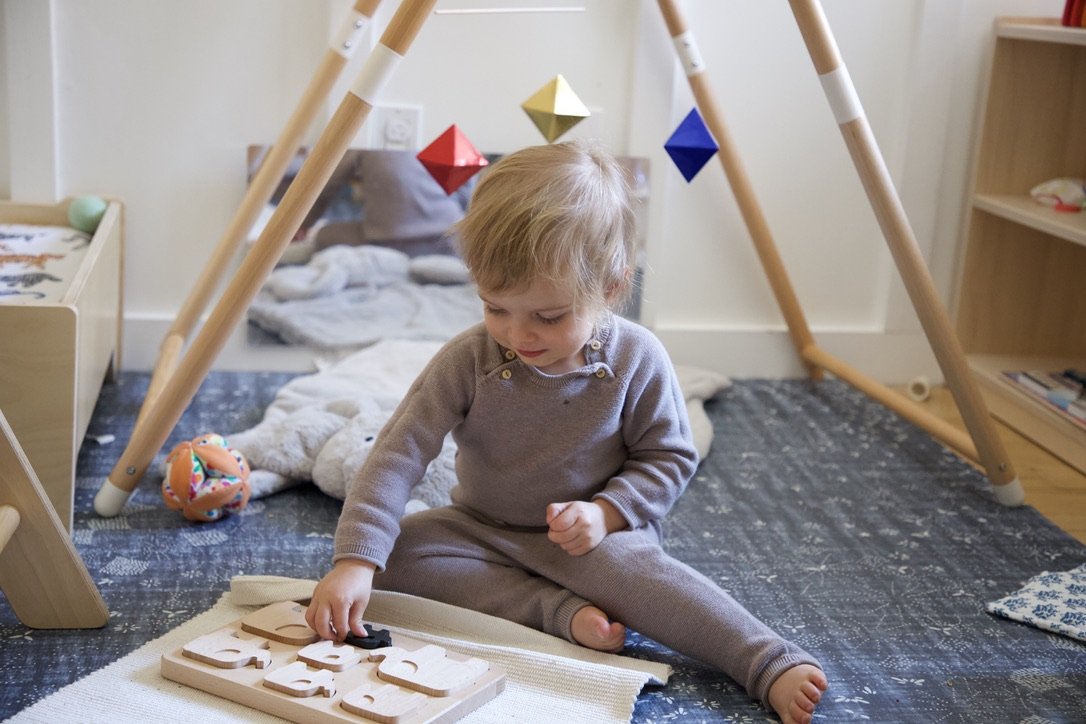 Types of Play Schemes/Schema