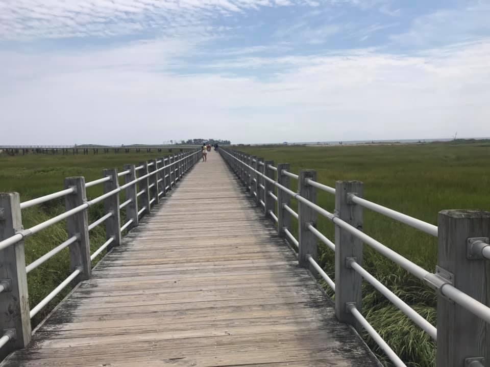 Family Visit to the Beach