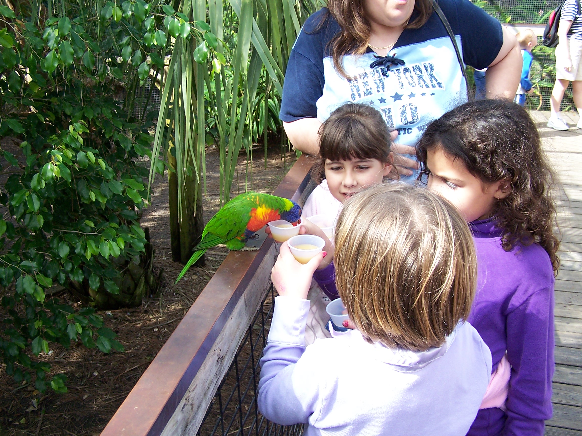 THINGS TO DO IN THE PARK